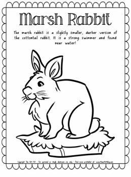 Marsh Rabbit Coloring Page | Free Homeschool Deals
