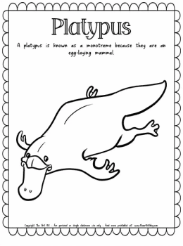 Platypus Coloring Page | Free Homeschool Deals