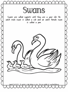 Swan Coloring Page | Free Homeschool Deals