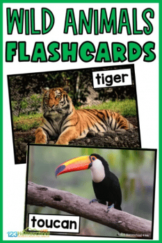 Wild Animals Flash Cards | Free Homeschool Deals