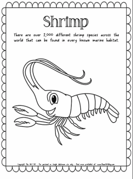 Shrimp Coloring Page | Free Homeschool Deals