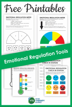 Emotion Regulation Pages | Free Homeschool Deals