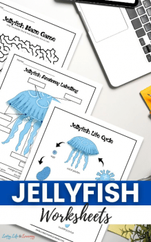 Jellyfish Worksheets | Free Homeschool Deals