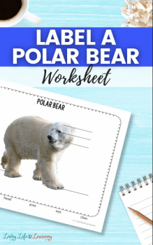 Label a Polar Bear | Free Homeschool Deals
