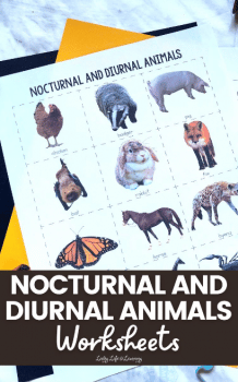 Nocturnal and Diurnal Animals | Free Homeschool Deals