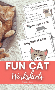Cat Activity Worksheets | Free Homeschool Deals
