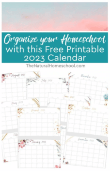 Homeschool Organizer | Free Homeschool Deals