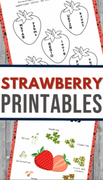 Strawberry Activity Pages | Free Homeschool Deals
