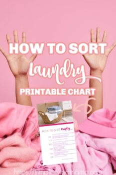 Laundry Sorting Activity Worksheet | Free Homeschool Deals