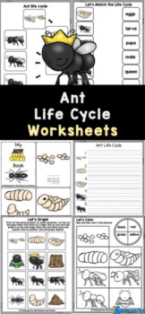 Ant Life Cycle Worksheets | Free Homeschool Deals