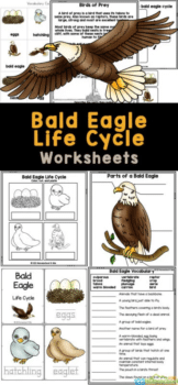Bald Eagle Cycle of Life Worksheets | Free Homeschool Deals