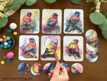 Matching Rainbow Finch Cards | Free Homeschool Deals