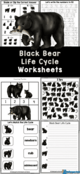 Black Bear Life Cycle Worksheets | Free Homeschool Deals