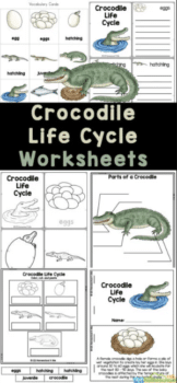 Crocodile Life Cycle | Free Homeschool Deals