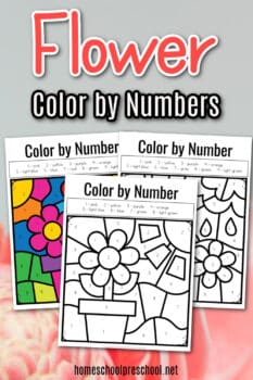 Flower Color by Numbers | Free Homeschool Deals