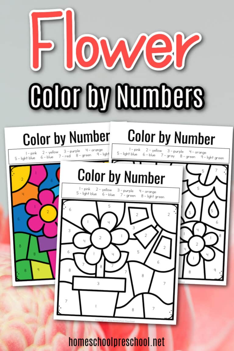 Flower Color by Numbers | Free Homeschool Deals