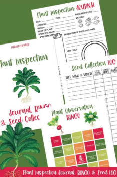 Plant Inspection Pages | Free Homeschool Deals