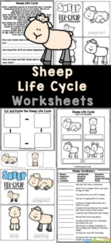 Sheep Life Cycle Worksheets | Free Homeschool Deals