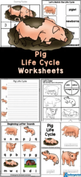 Pig Life Cycle Worksheets | Free Homeschool Deals