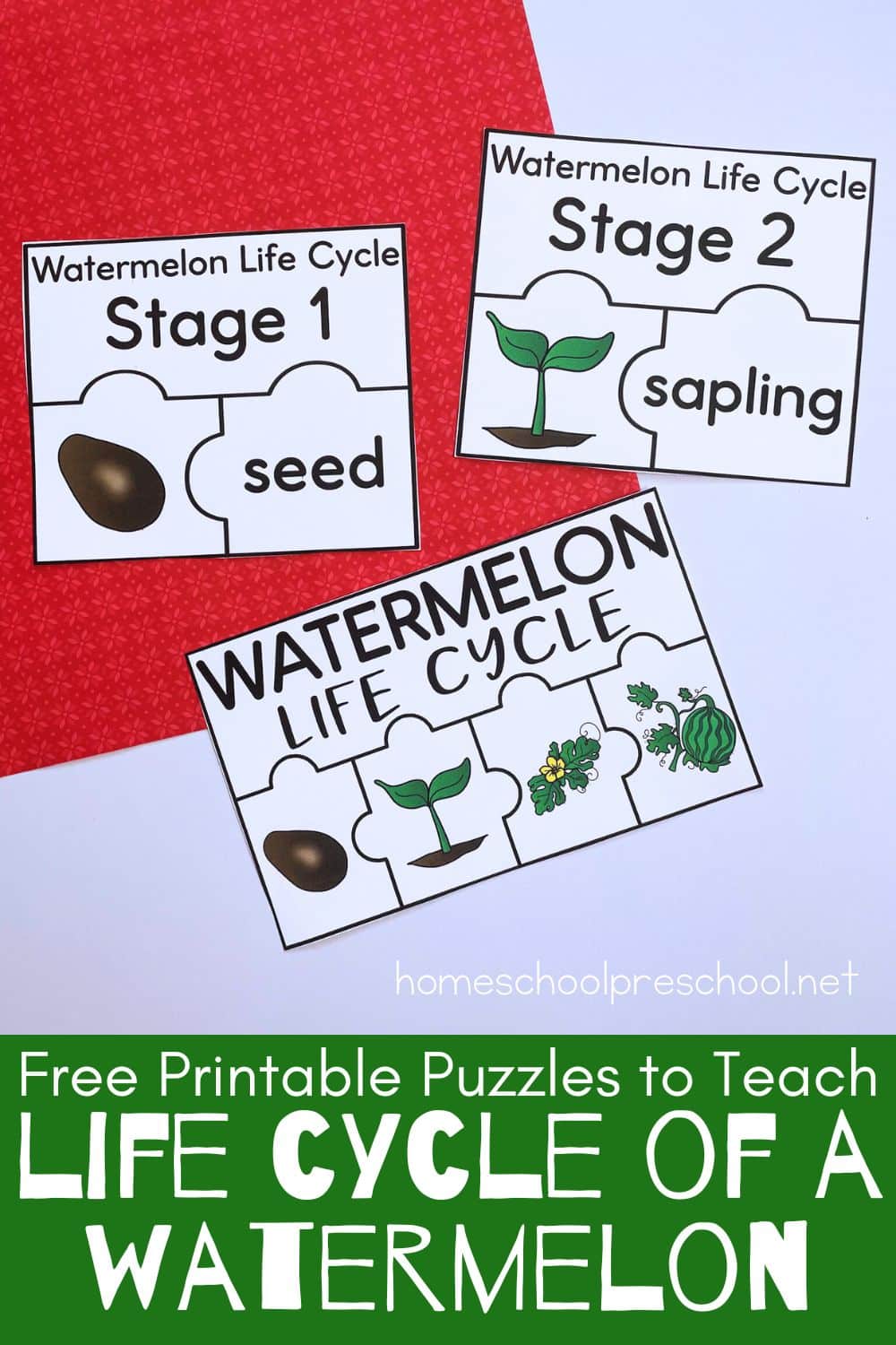Watermelon Life Cycle Puzzles | Free Homeschool Deals