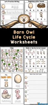 Barn Owl Life Cycle | Free Homeschool Deals
