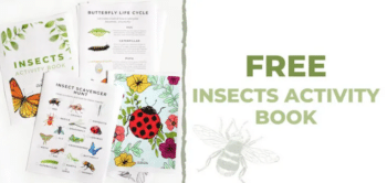 Insects Activity Book | Free Homeschool Deals