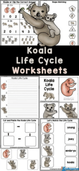 Koala Life Cycle | Free Homeschool Deals