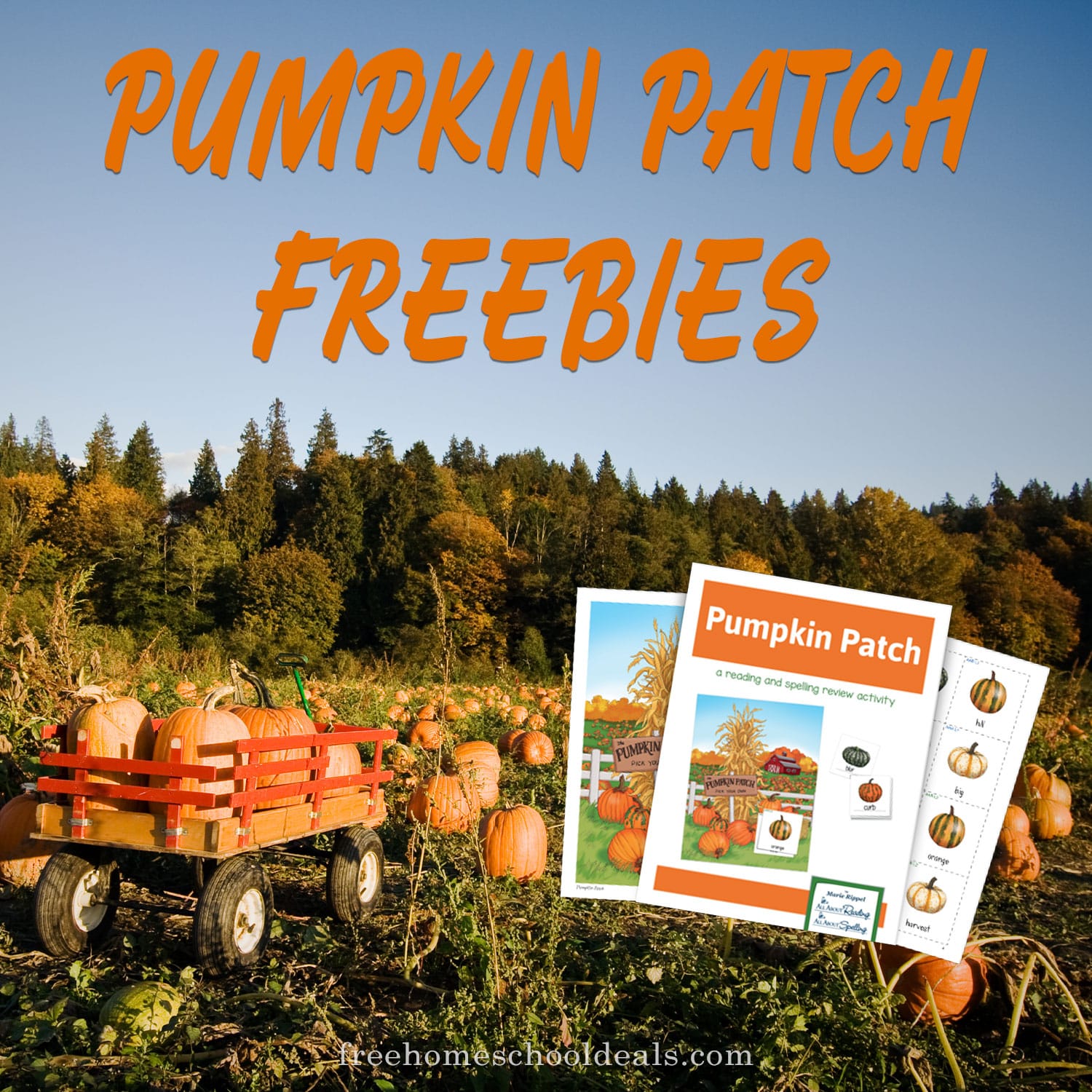 Pumpkin Patch Activity Worksheets | Free Homeschool Deals