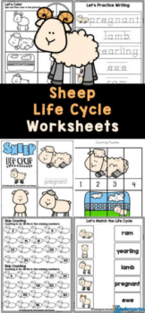 Sheep Life Cycle Worksheets | Free Homeschool Deals