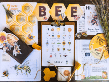 Honeybee Activity Worksheets | Free Homeschool Deals