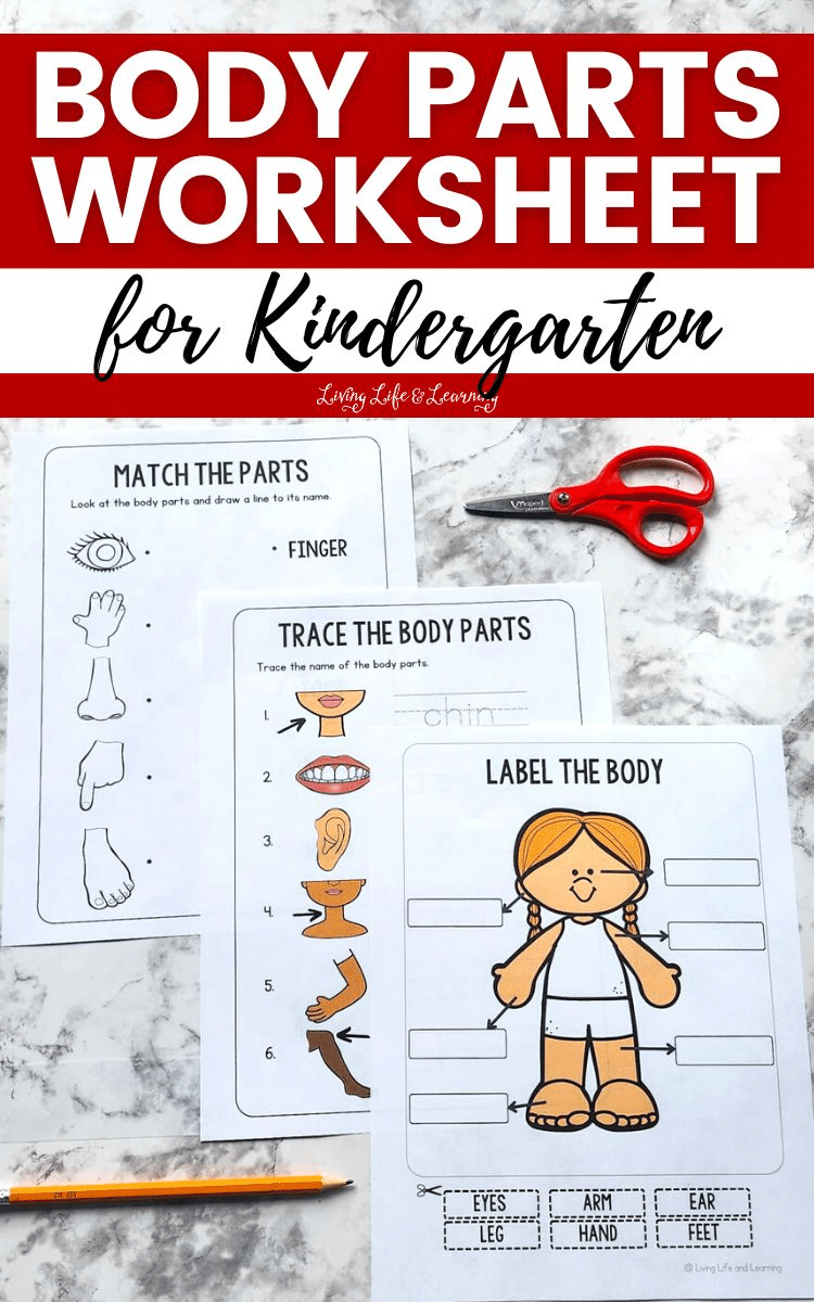 Body Part Printable Pages | Free Homeschool Deals