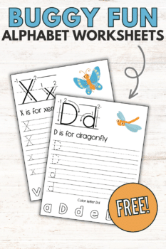 Bug-Themed Handwriting Practice Pages | Free Homeschool Deals
