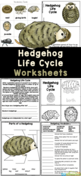 Hedgehog Life Cycle Pages | Free Homeschool Deals