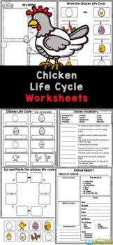Chicken Life Cycle Worksheets | Free Homeschool Deals