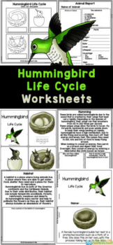 Hummingbird Life Cycle Worksheets | Free Homeschool Deals