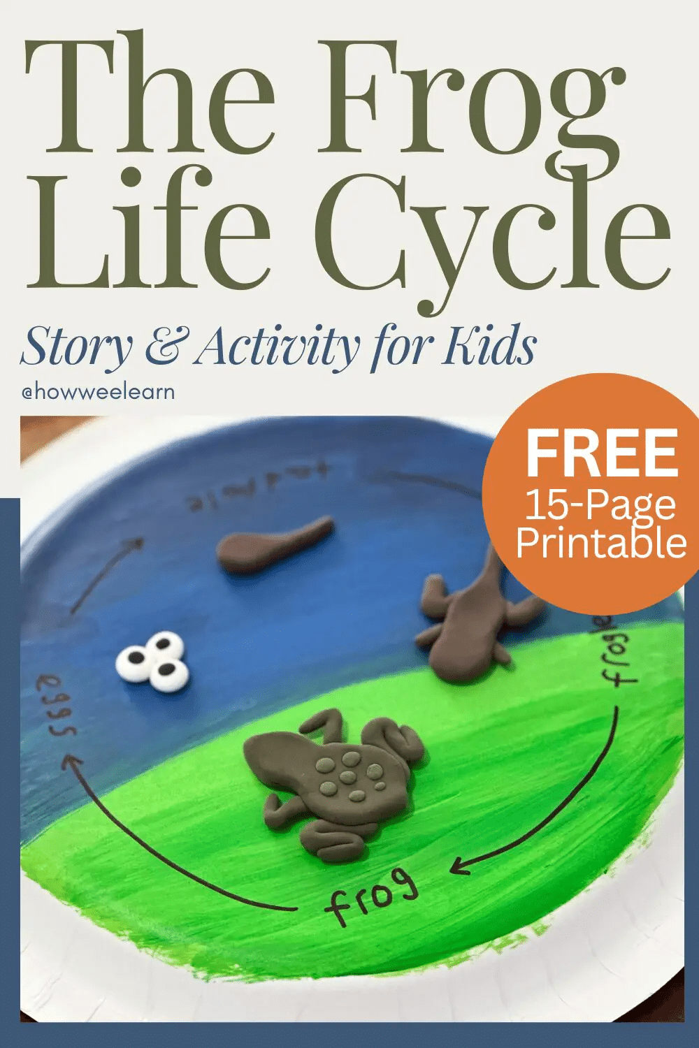 Frog Life Cycle Worksheets | Free Homeschool Deals