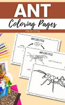 Ant Coloring Pages | Free Homeschool Deals