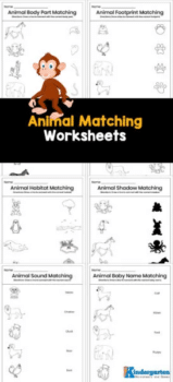 Animal Matching Worksheets | Free Homeschool Deals