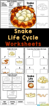 Snake Life Cycle Worksheets | Free Homeschool Deals