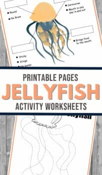 FREE Jellyfish Activity Set | Free Homeschool Deals