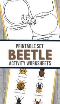 Beetle Activity Set Worksheets | Free Homeschool Deals