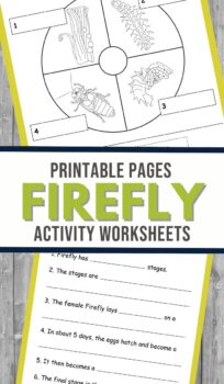 Firefly Activity Set Worksheets | Free Homeschool Deals