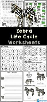 FREE Printable Zebra Life Cycle Worksheets For Kids | Free Homeschool ...