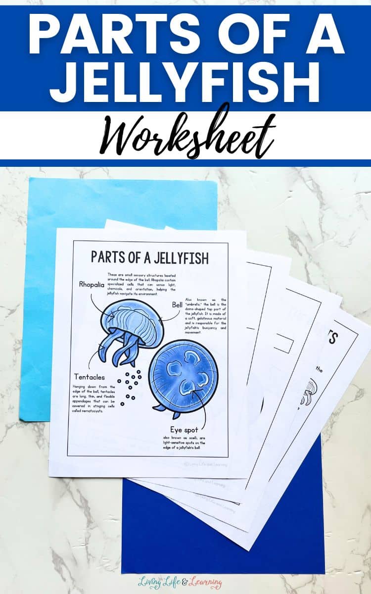 Learning the Parts of a Jellyfish FREE Worksheet | Free Homeschool Deals