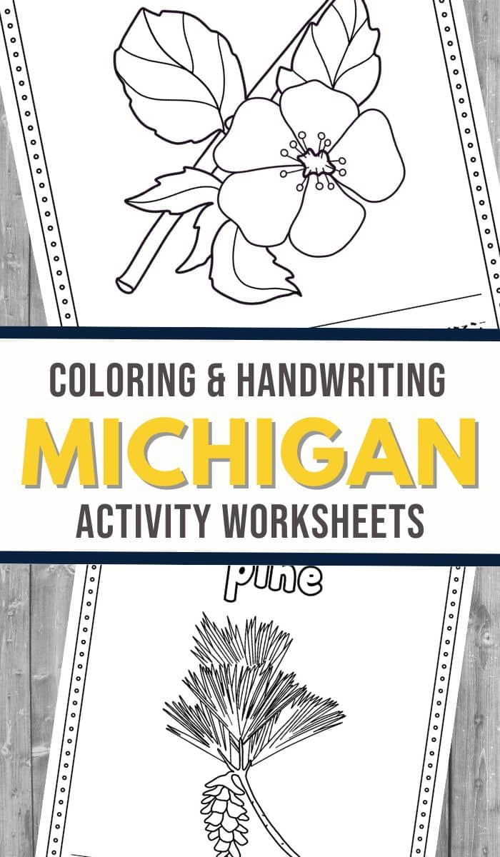 FREE Coloring and Handwriting Worksheets for Michigan State | Free ...