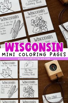 Wisconsin Mini Coloring Pages USA 50 States {FREE Printable!} | Free ...