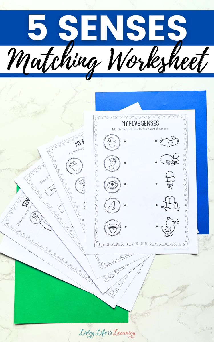 Kindergarten 5 Senses Matching Printables | Free Homeschool Deals