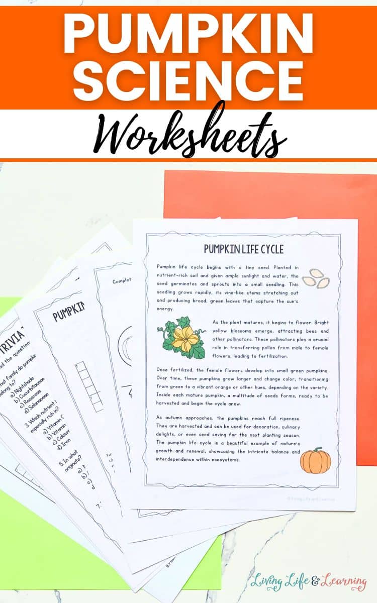 Fall Lifecycle of Pumpkins Printables | Free Homeschool Deals