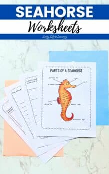 Parts of a Seahorse Printables | Free Homeschool Deals