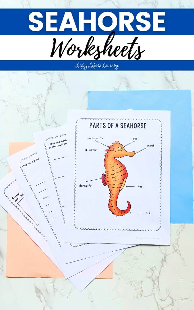 Parts of a Seahorse Printables | Free Homeschool Deals